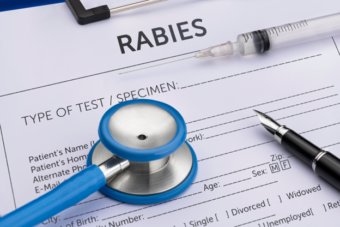 World Rabies Day 2024: Uniting for Rabies Prevention with the One ...